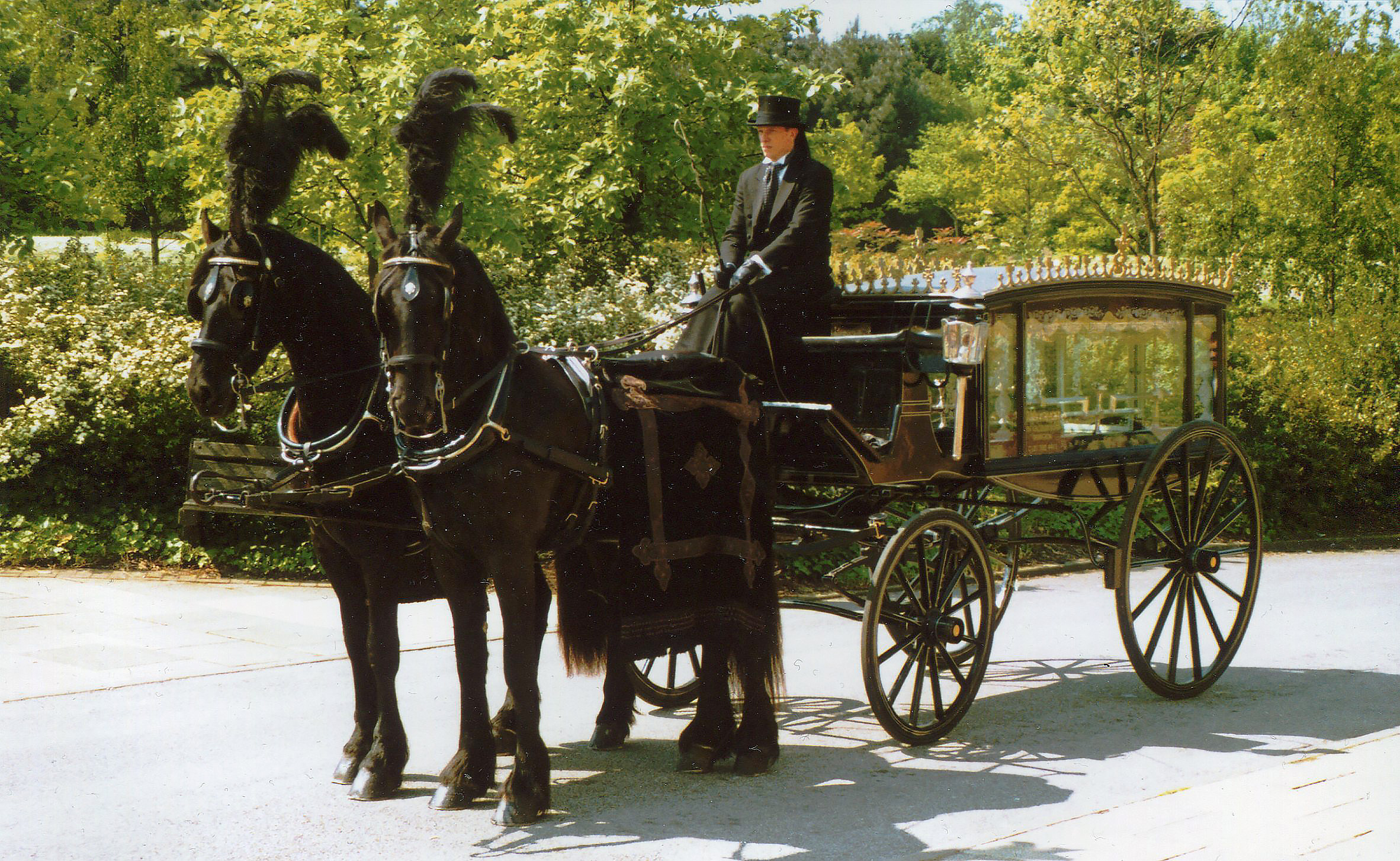 Horse Drawn Vehicles – Darren W Faragher
